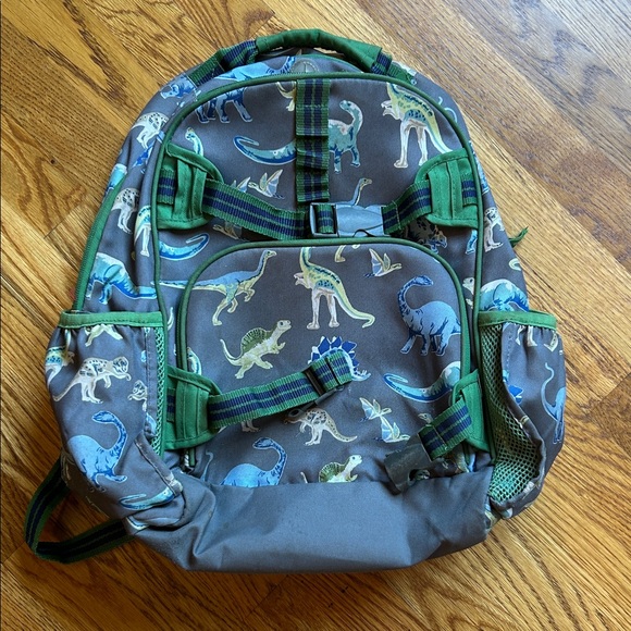 Pottery Barn Kids | Accessories | Pottery Barn Kids Mackenzie Dinosaur ...